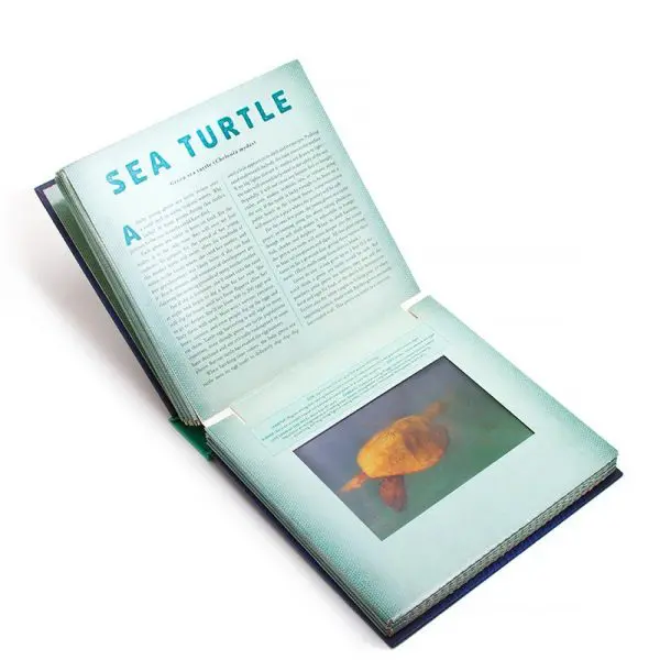 OCEAN - Saatchi Store